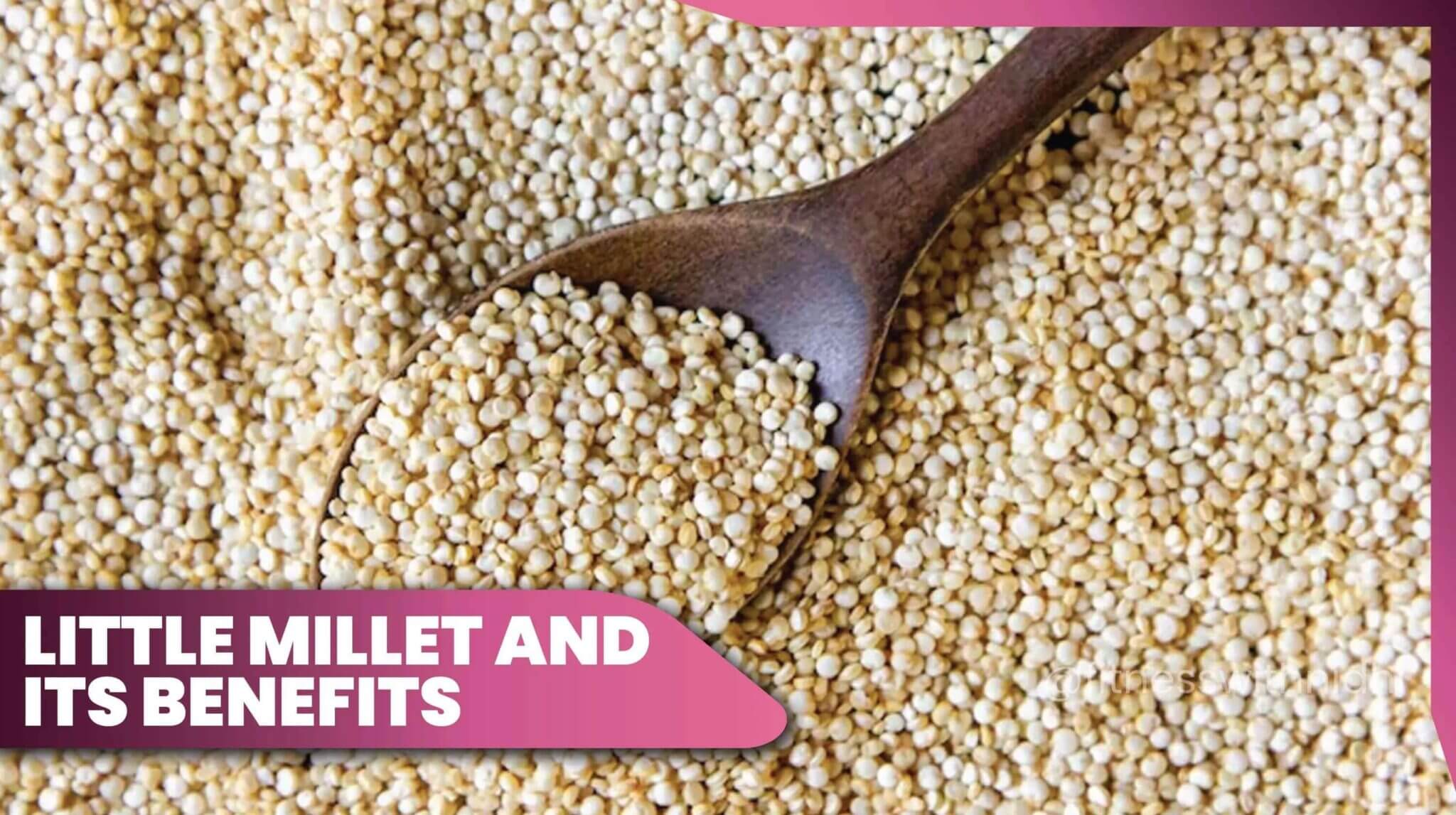 Barnyard Millet: Health Benefits, Nutritional Values & Recipes ...