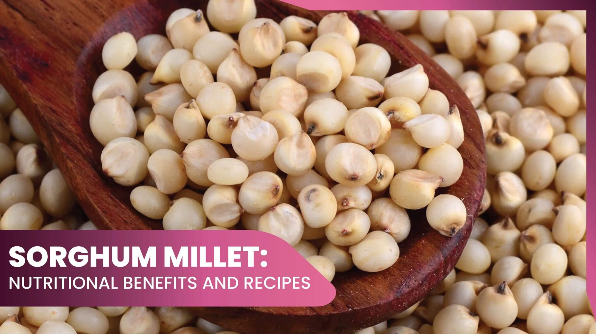 Sorghum Millet: Jowar Health Benefits, Nutritional & Recipes